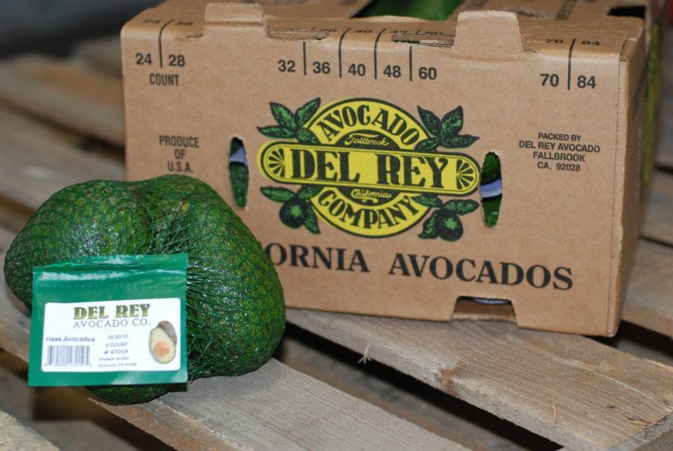 Avocado Packaging - Del Rey Avocado