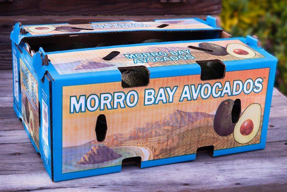 Avocado Packaging - Del Rey Avocado