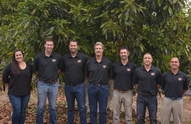 Sales Team - Del Rey Avocado