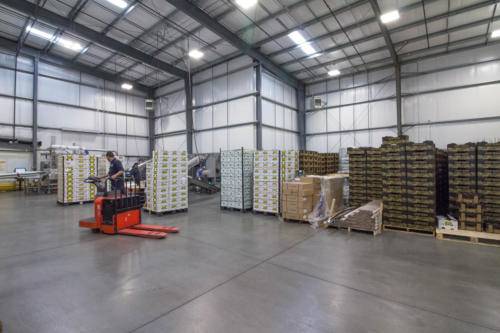 Del Rey Avocado New Jersey Plant, A HUGE Success - Del Rey Avocado